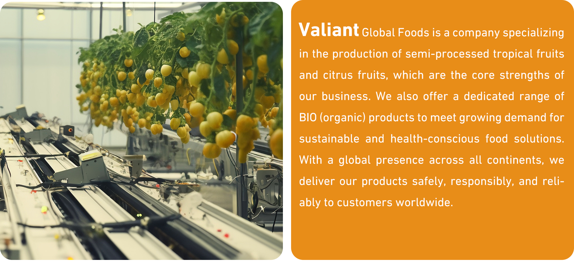 ValiantFoods